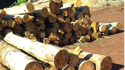 Maderas de la Selva - Comodoro Rivadavia - Madereras Argentina