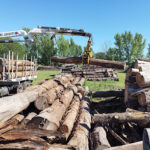 Easy - Rosario - Madereras Argentina